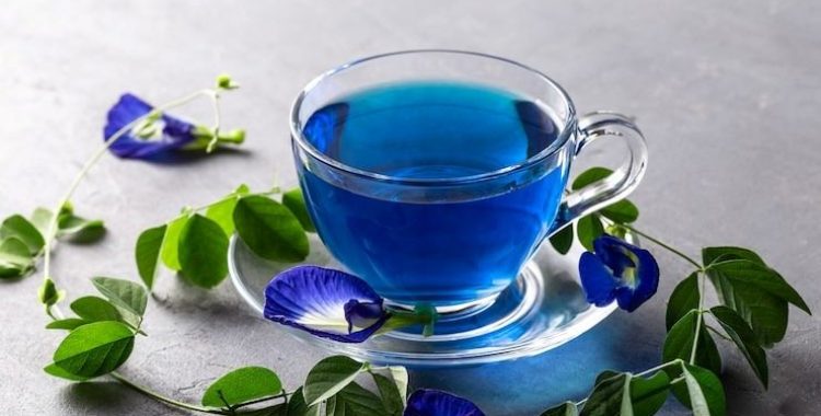 Chá De Flor De Clitória Mais Estilo De Vida