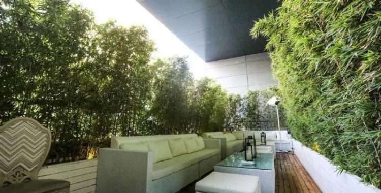 O que é a Biofilia? - Mais Estilo de Vida